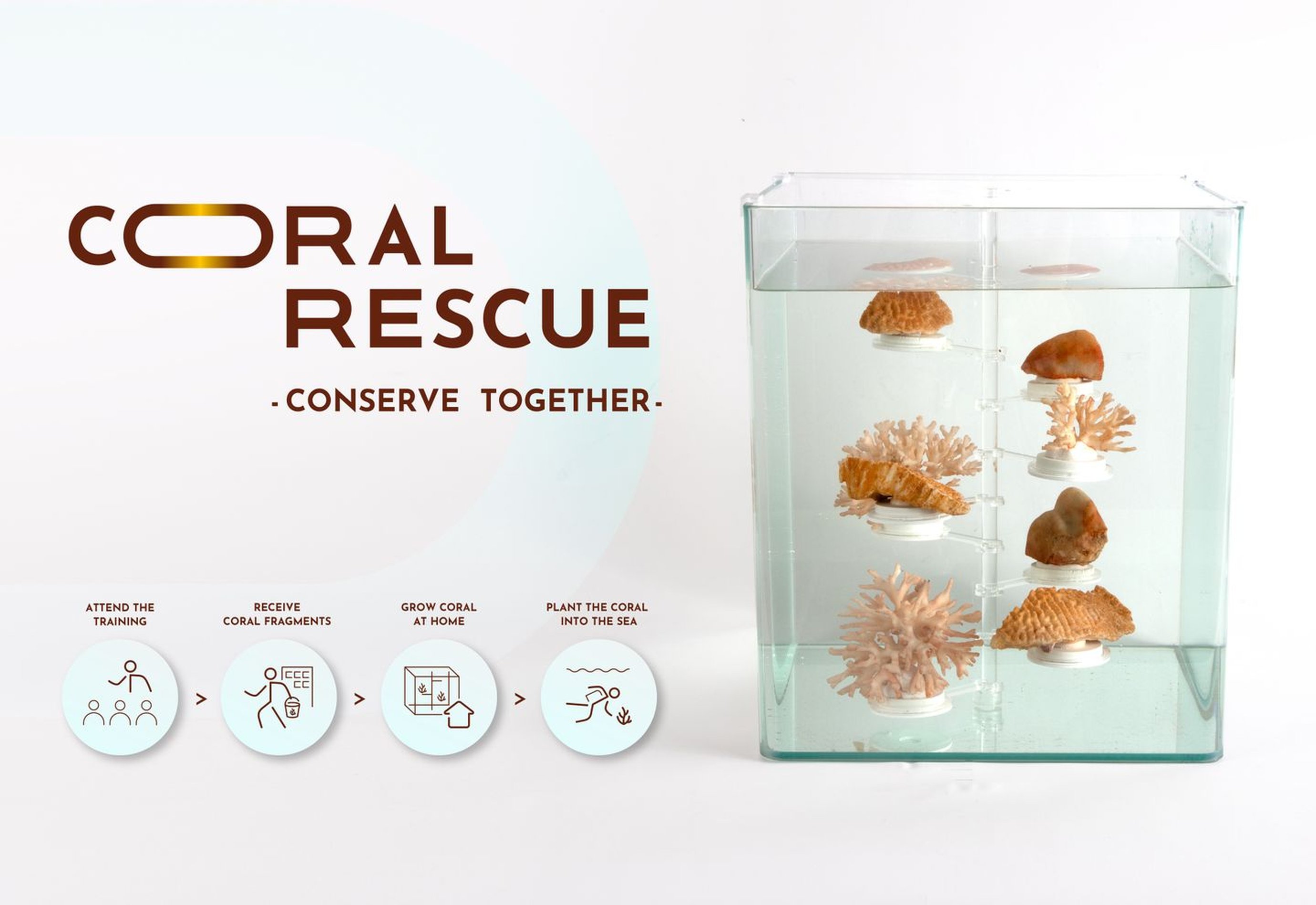 Coral Rescue - Conserve Together - | D&AD Annual 2023