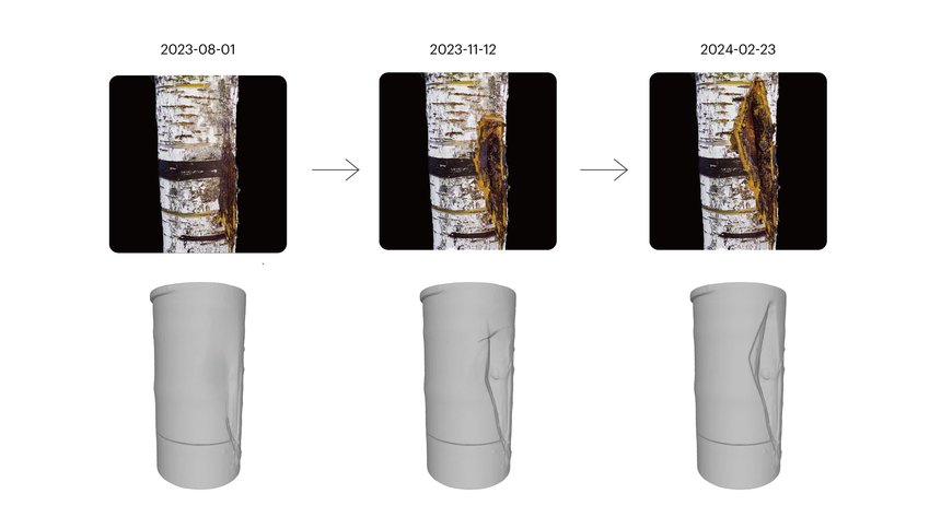Bark-Code: Digitizing Forest Management for Family Forest Owners ...