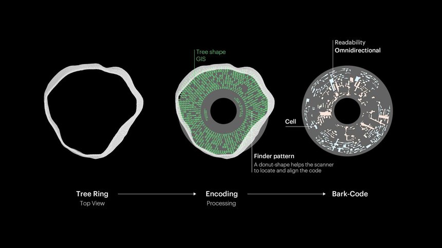 Bark-Code: Digitizing Forest Management for Family Forest Owners ...