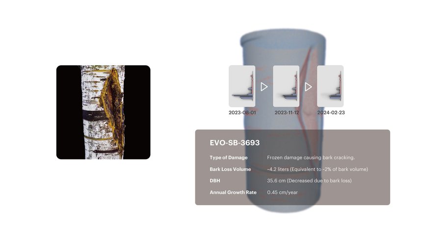 Bark-Code: Digitizing Forest Management for Family Forest Owners ...