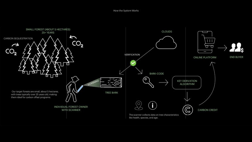 Bark-Code: Digitizing Forest Management for Family Forest Owners ...